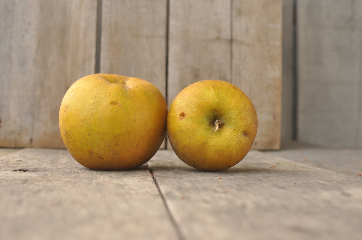 Products – Vintage Virginia Apples